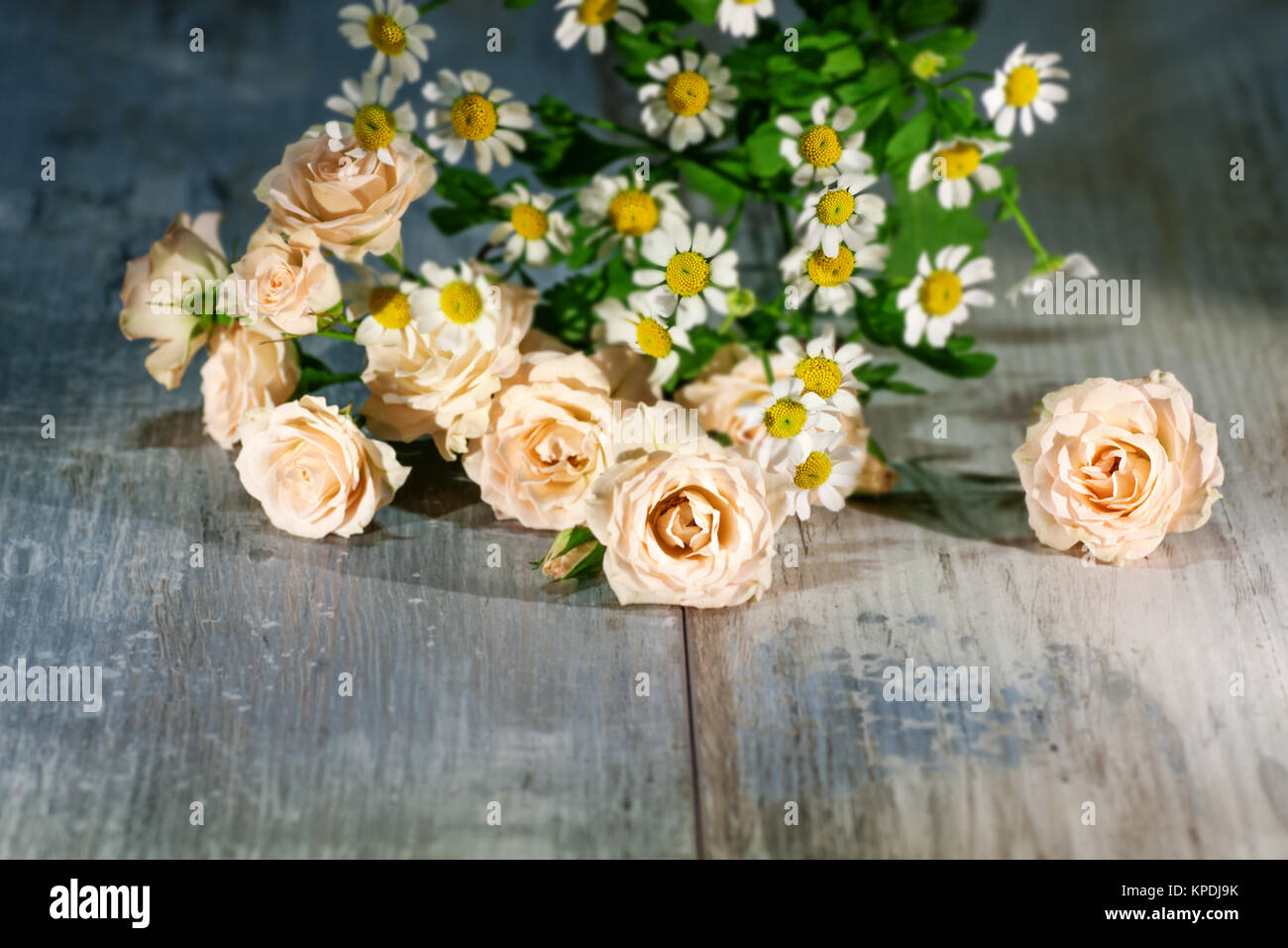 roses still life Stock Photo - Alamy