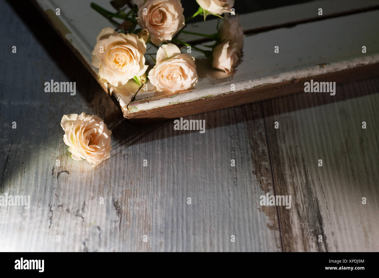 roses still life Stock Photo - Alamy
