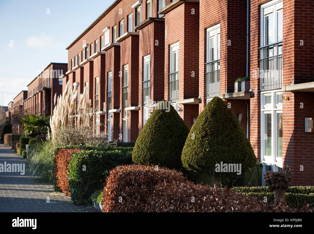 Apartments in a row with front gardens Stock Photo - Alamy
