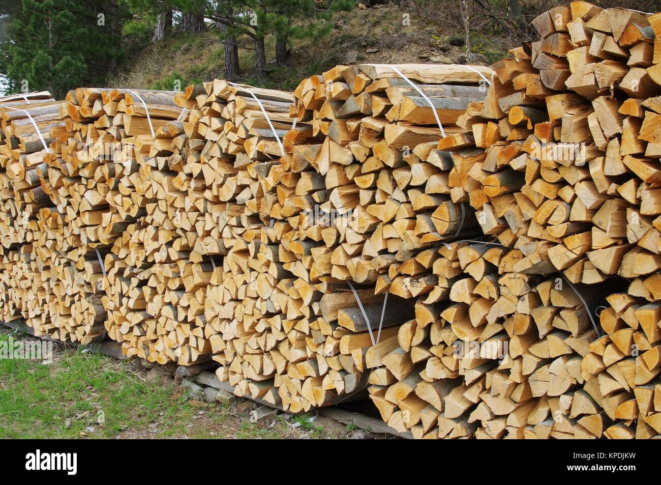 woodpile - stack of wood 46 Stock Photo - Alamy