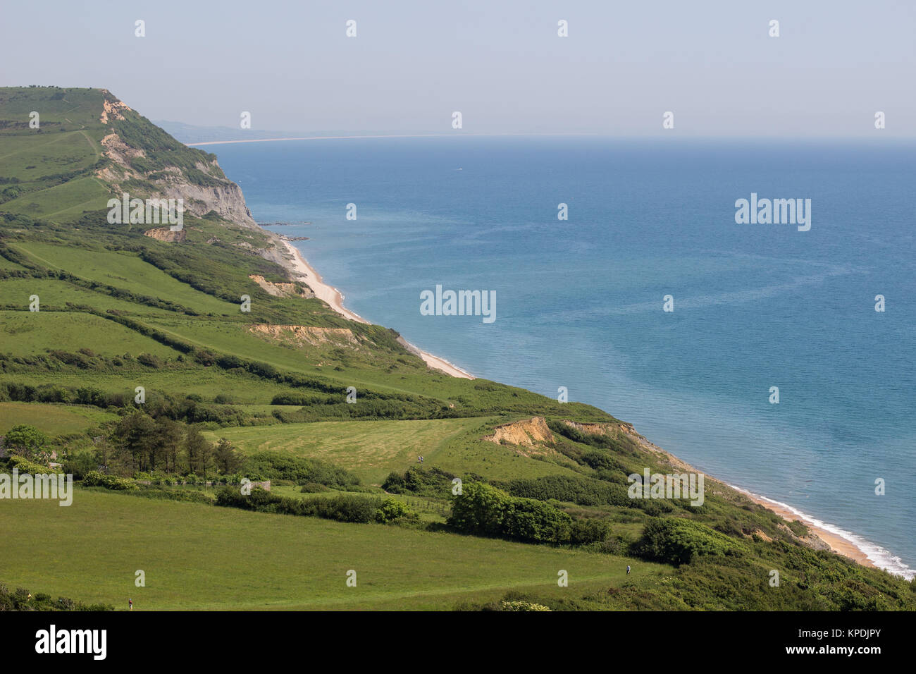 Cliffs near Charmouth Stock Photo - Alamy