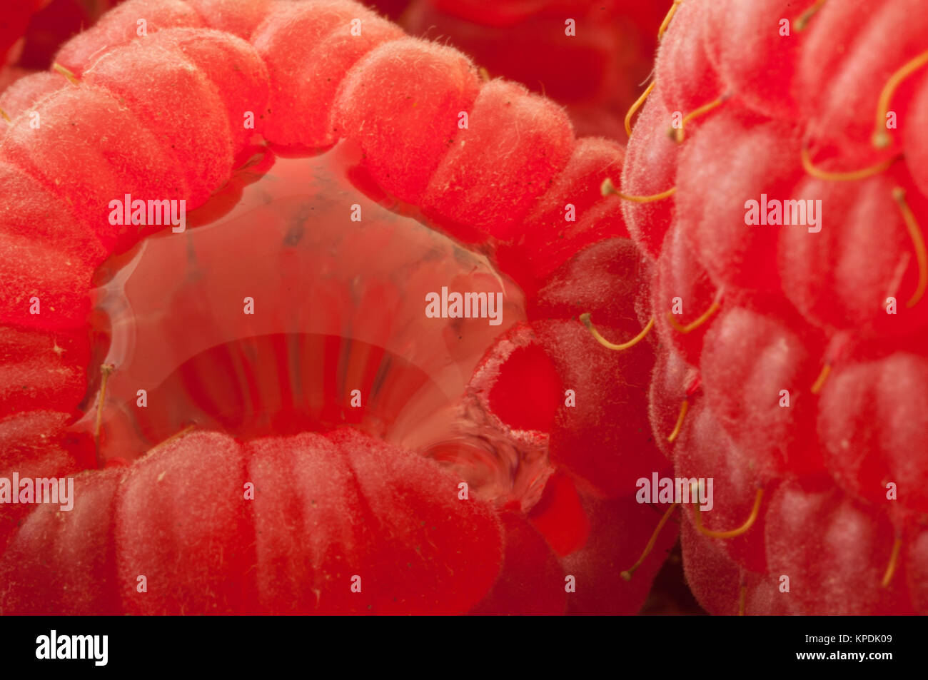 details of raspberry Stock Photo - Alamy