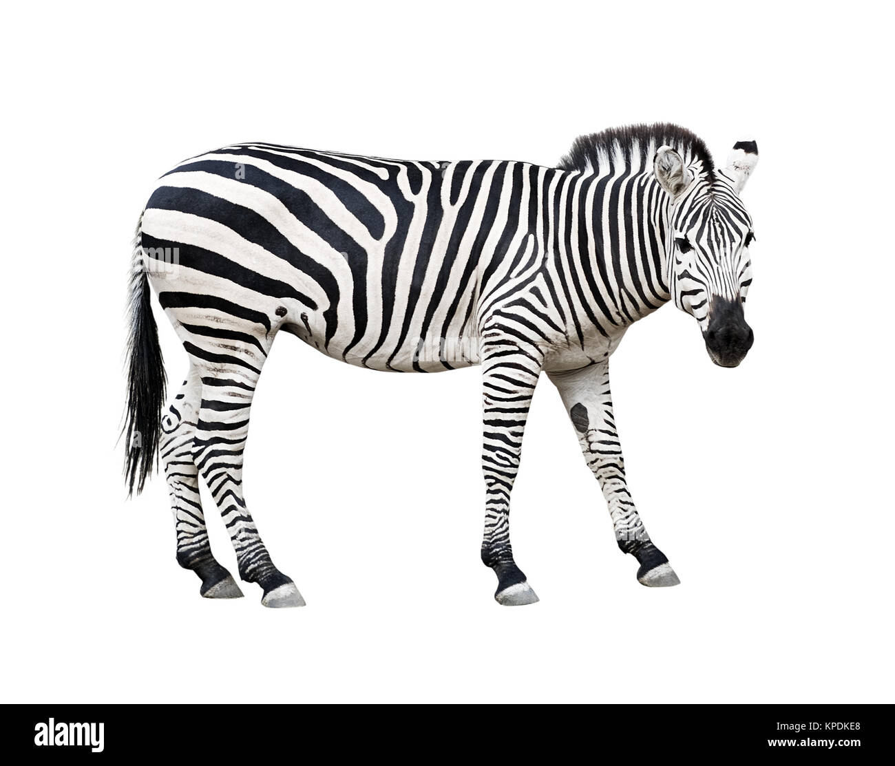 Horizontal color colour photograph image Cut Out Stock Images ...