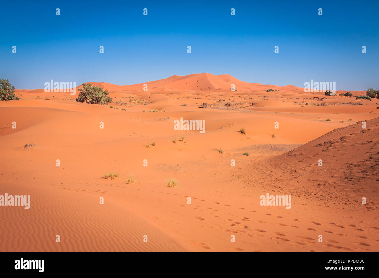 The seas of dunes of Erg Chebbi near Merzouga in southeastern Morocco ...