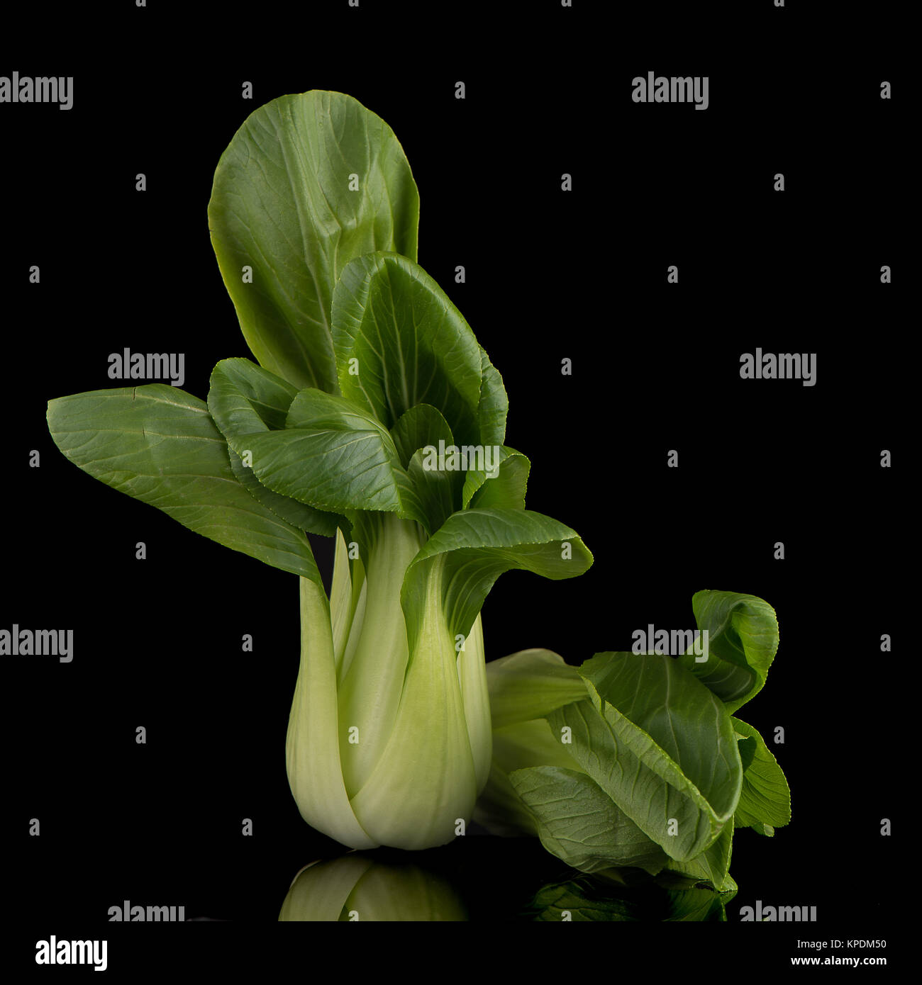 Pak choi on black Stock Photo - Alamy