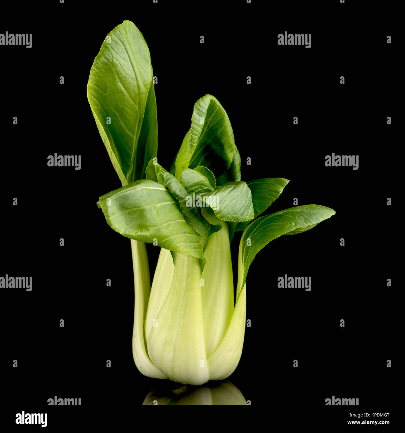 Pak choi on black Stock Photo - Alamy