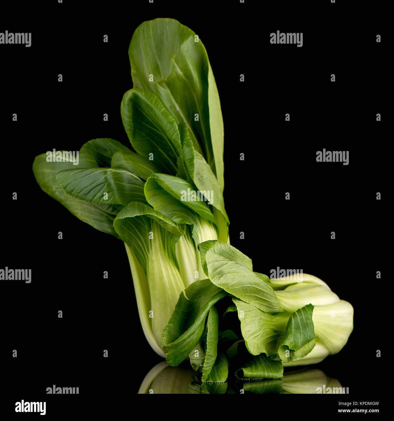 Pak choi on black Stock Photo - Alamy