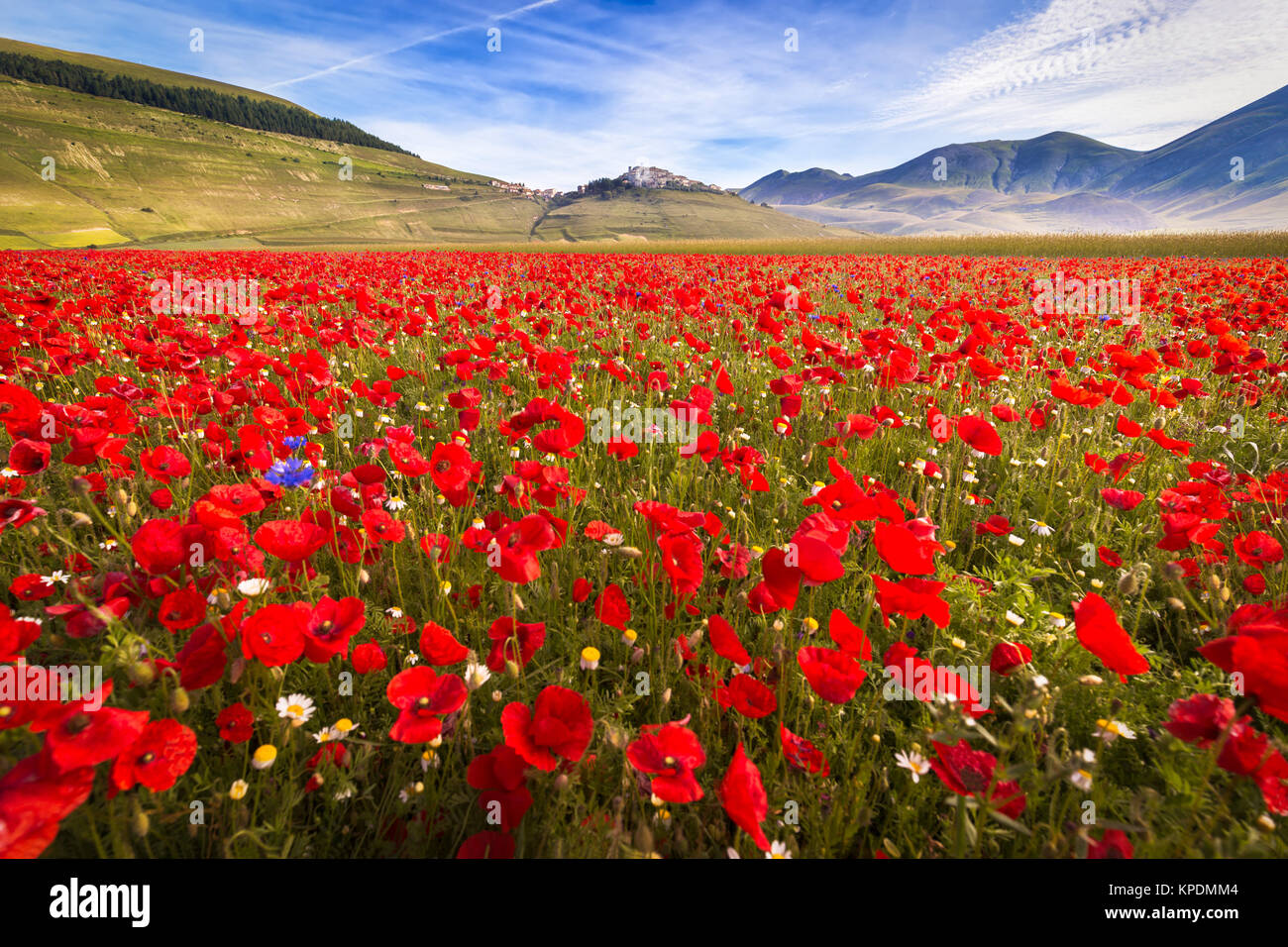 Flowering piano grande monti sibillini hi-res stock photography and ...