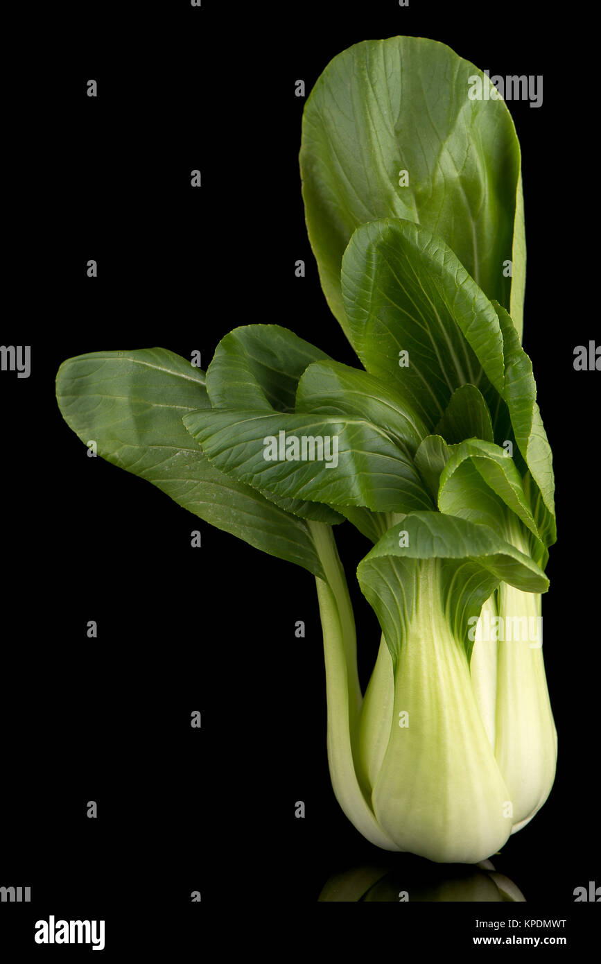 Pak choi on black Stock Photo - Alamy