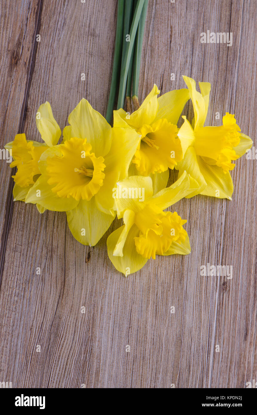 Jonquil flowers hi-res stock photography and images - Alamy