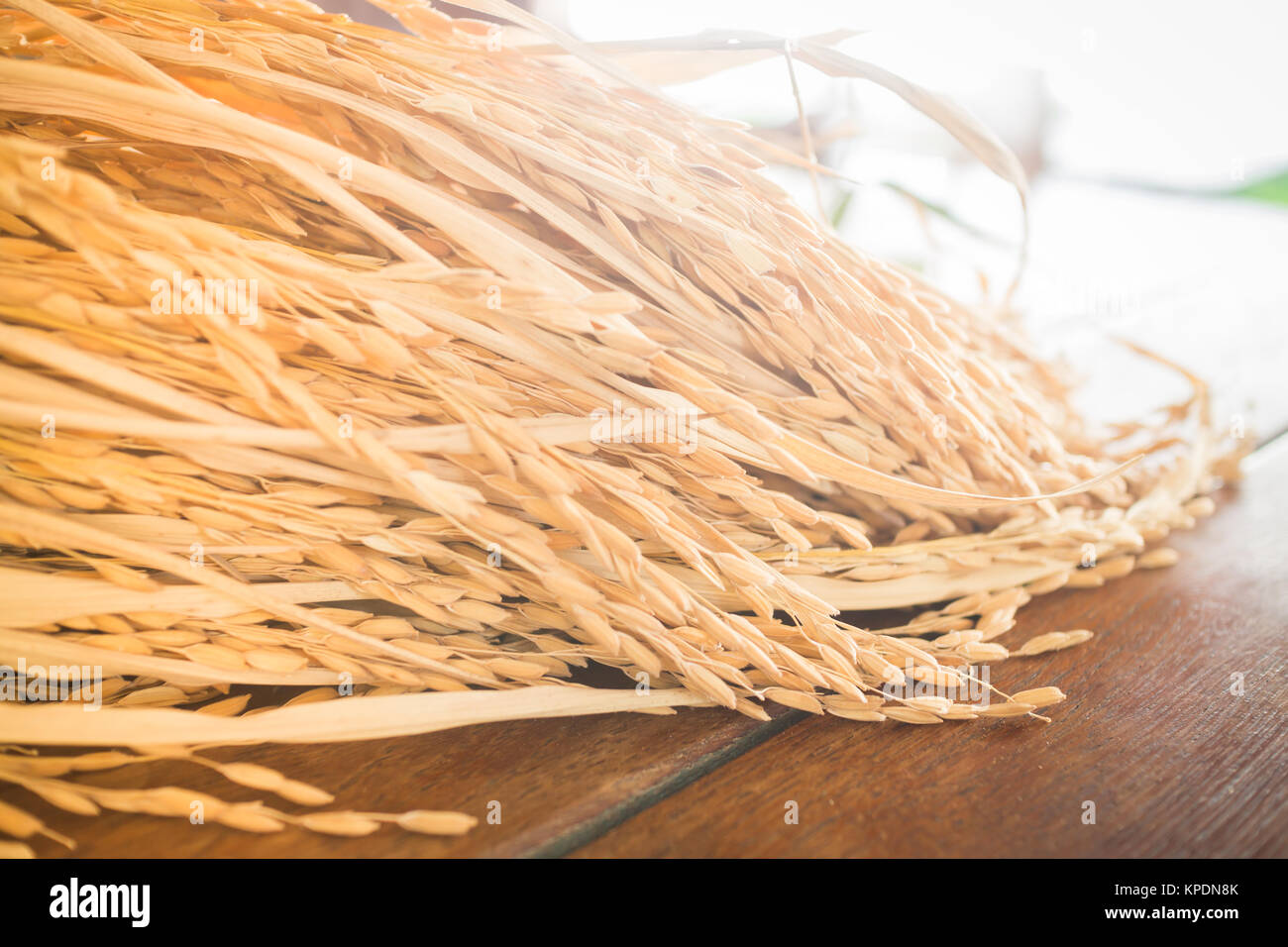 Paddy jasmine rice on wooden table Stock Photo - Alamy