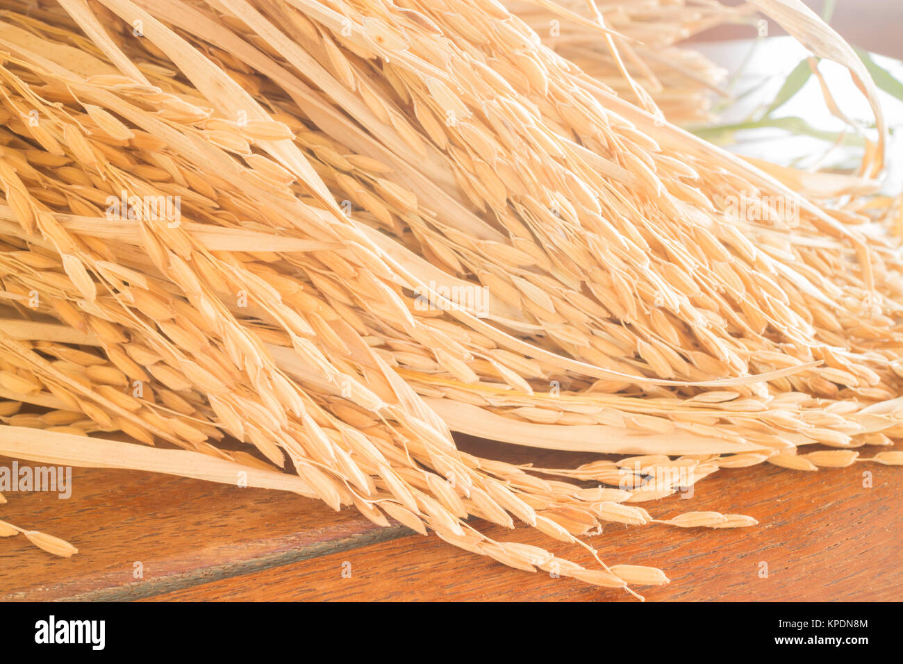 Paddy jasmine rice on wooden table Stock Photo - Alamy