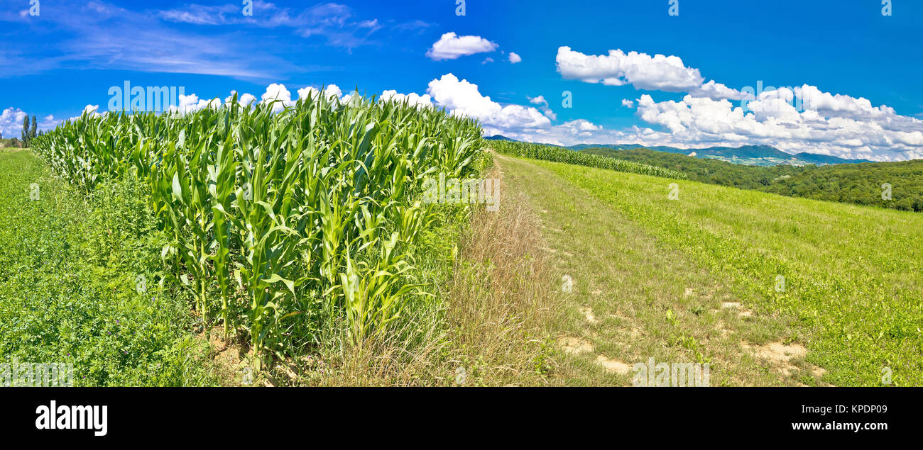 Agricultural landscape panorama in Prigorje region Stock Photo - Alamy