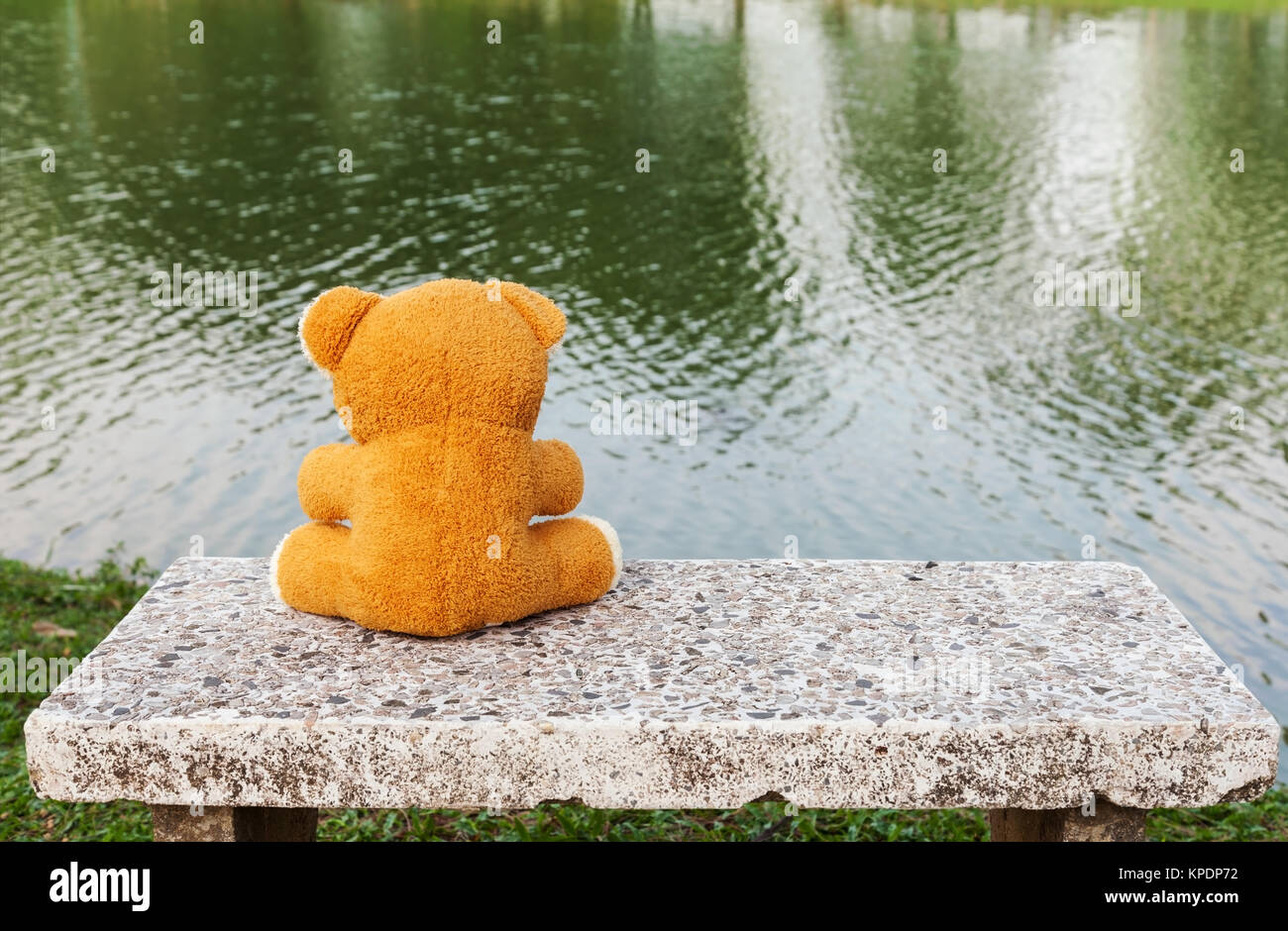 Teddy bear relax on the chair Stock Photo - Alamy