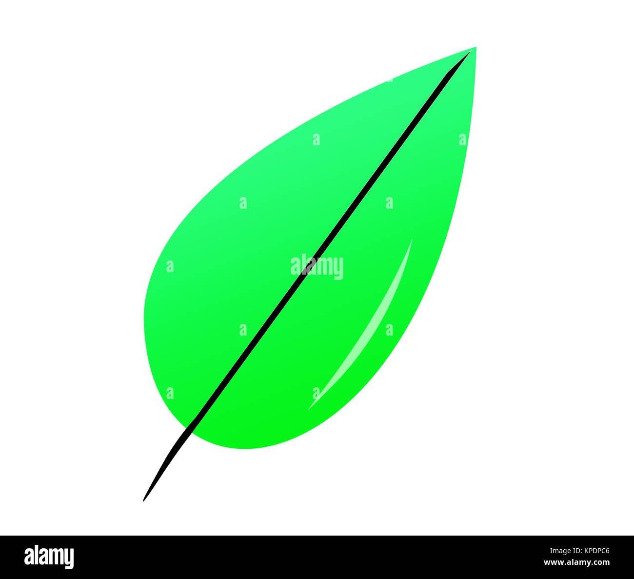 Green leaf isolated Stock Photo - Alamy