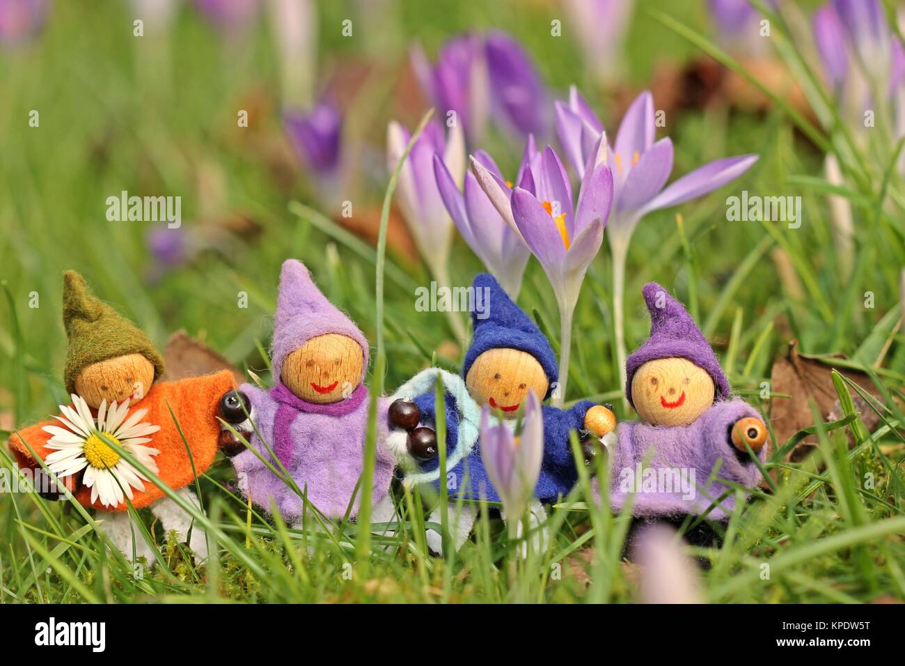 four small imp in krokuswiese Stock Photo - Alamy