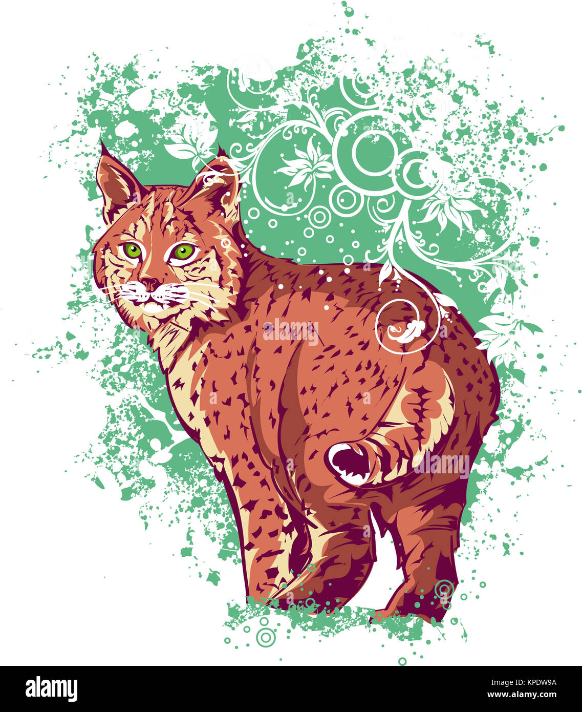 Wild bobcat Cut Out Stock Images & Pictures - Alamy
