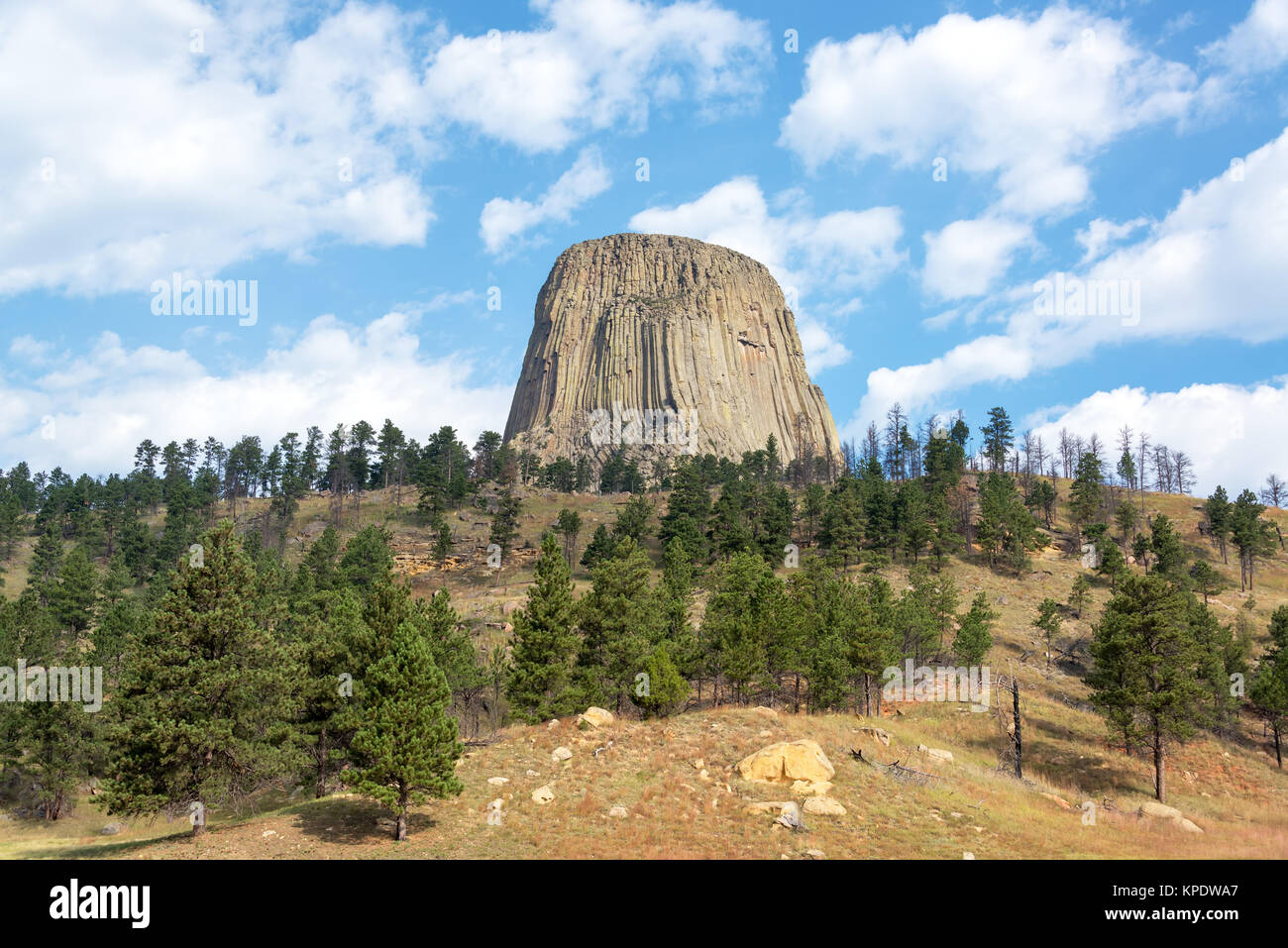 Devils Tower and Trees Stock Photo - Alamy