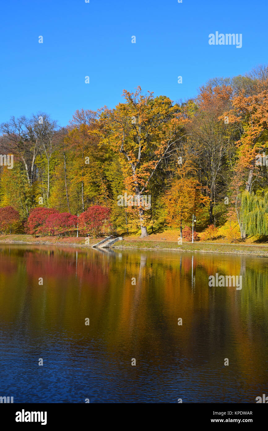 Colorful autumn trees with water reflection Stock Photo - Alamy