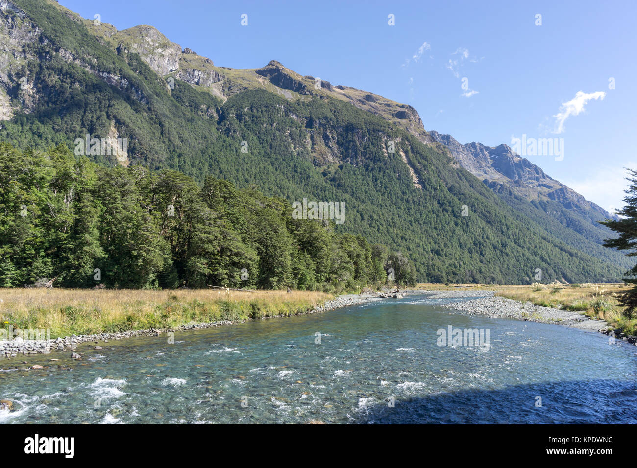 Mackay creek new zealand hi-res stock photography and images - Alamy