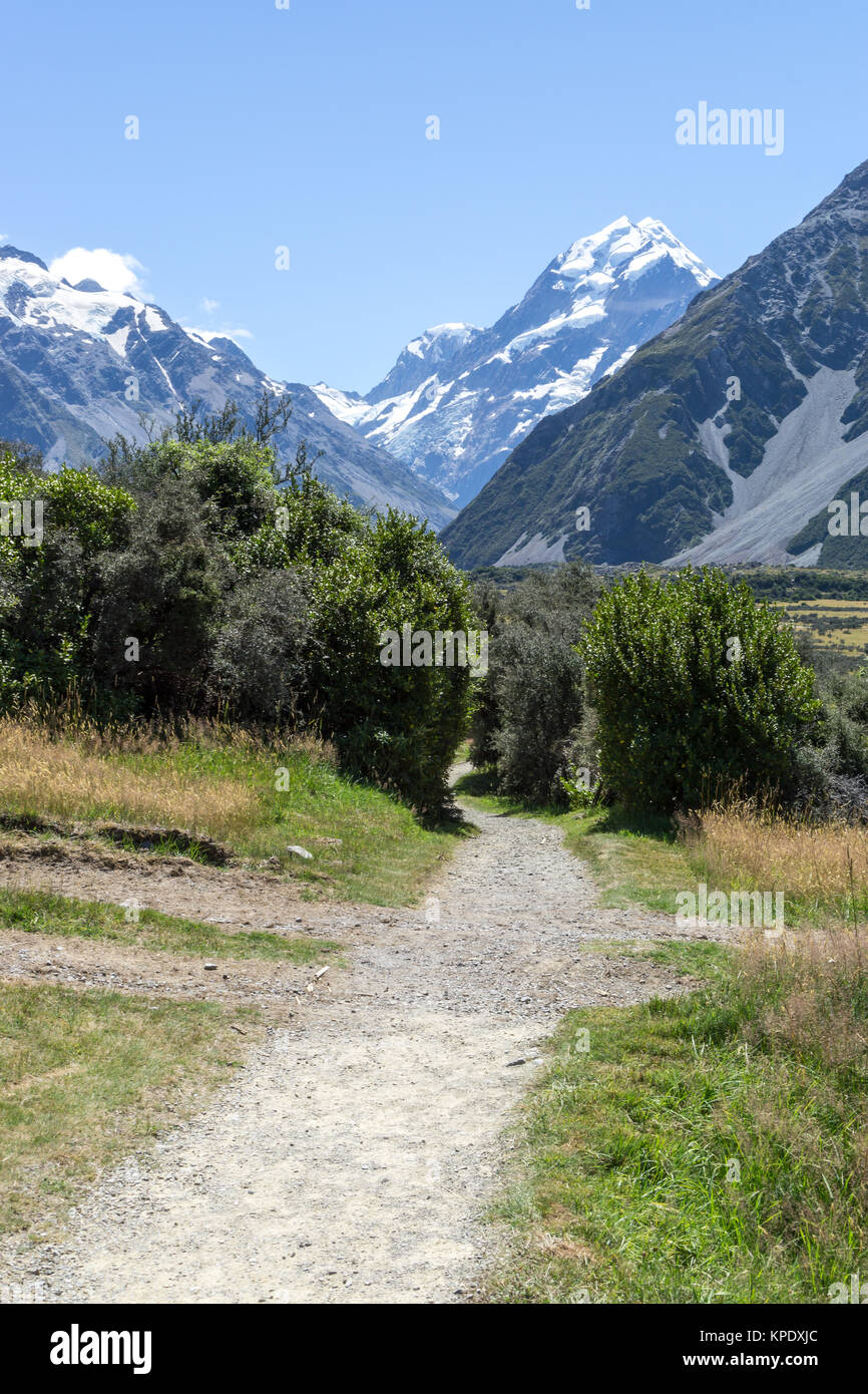 Kea Point Track Stock Photo - Alamy