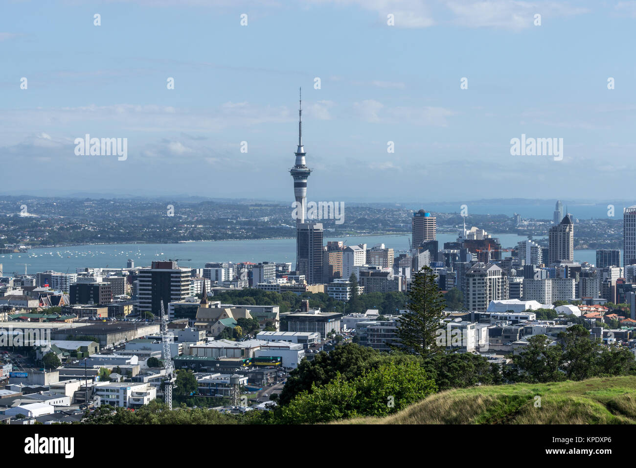 Auckland city view Stock Photo - Alamy