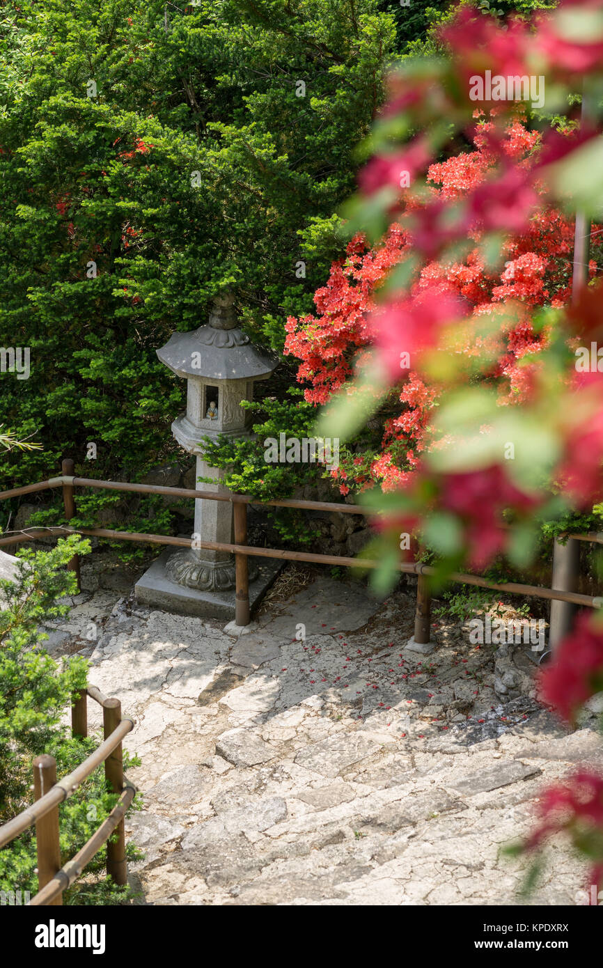 Royal religion flowers hi-res stock photography and images - Alamy