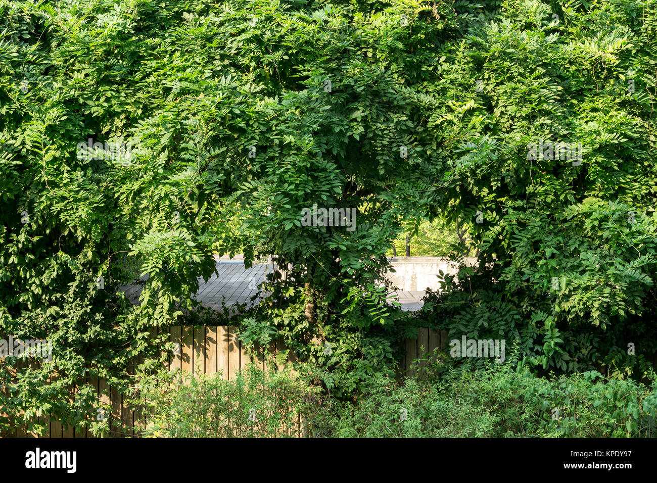 Seonyudo park scenery Stock Photo - Alamy