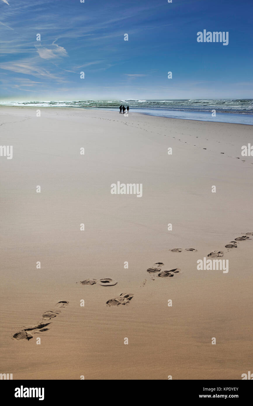 Group on the beach Stock Photo - Alamy