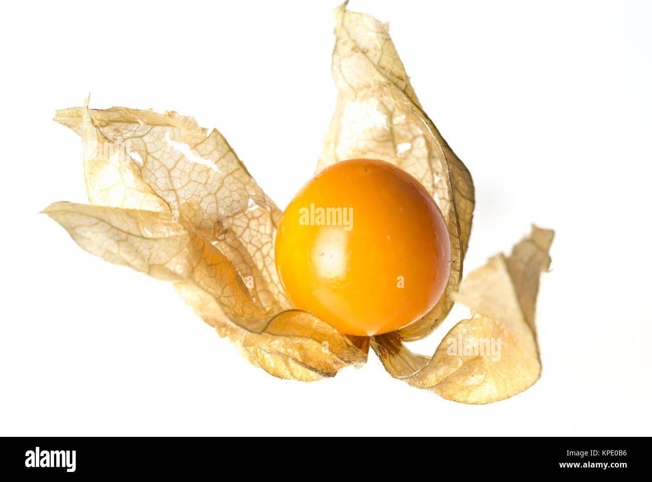 Physalis Fruit with Husk Stock Photo - Alamy