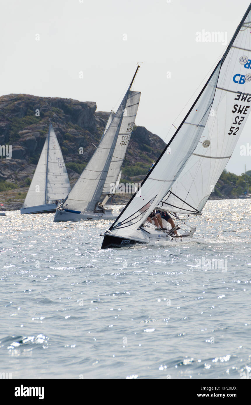 one sail competition on swedish westcoast Stock Photo - Alamy