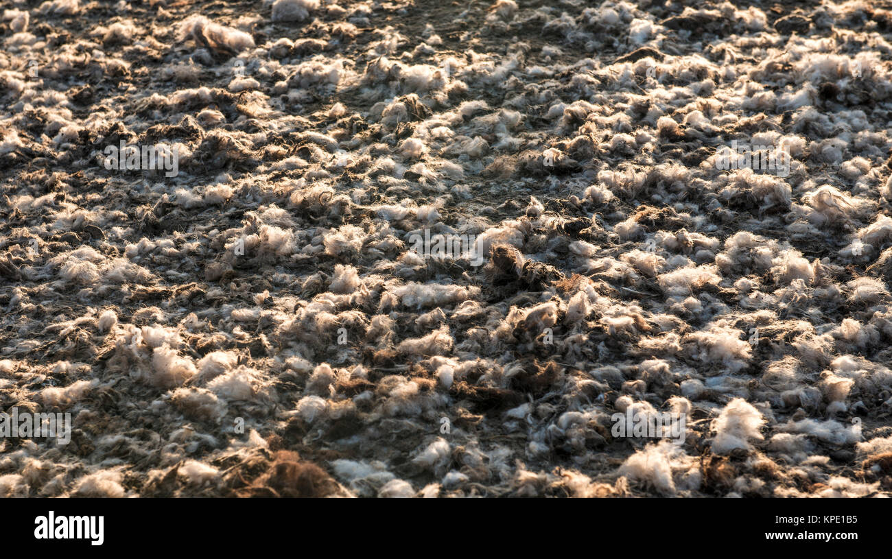 Scrap wool background Stock Photo - Alamy