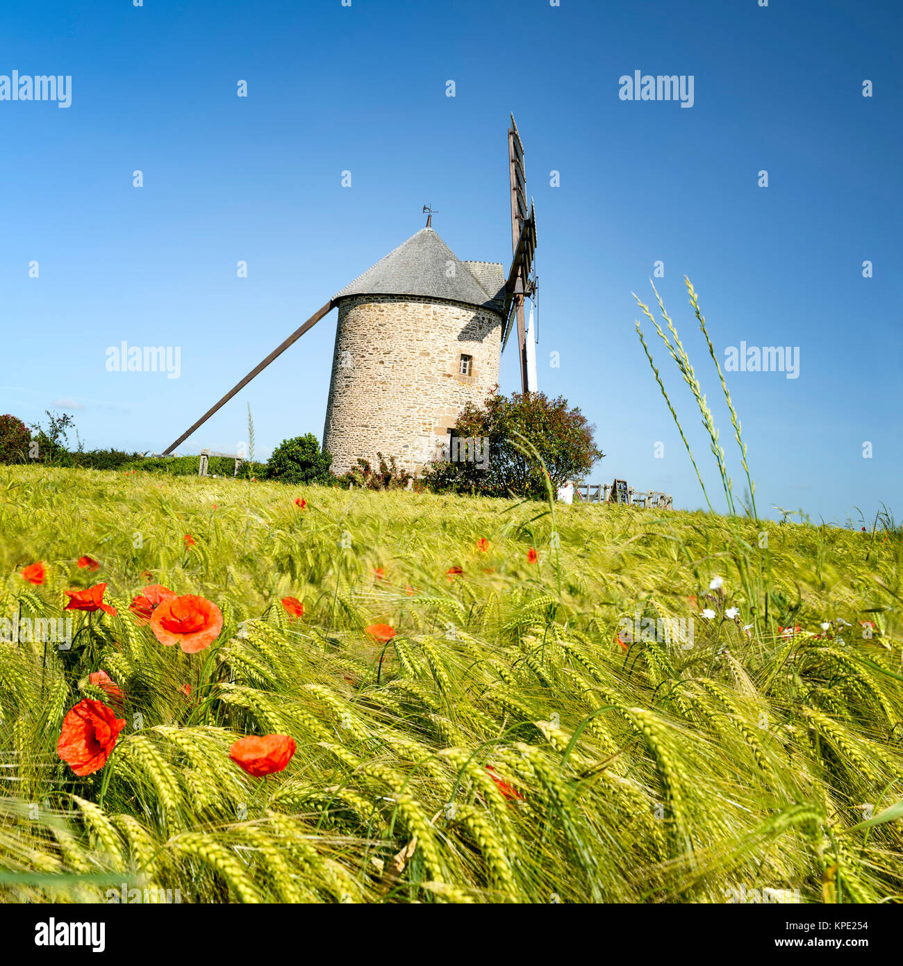 windmill in Pontorson Stock Photo - Alamy