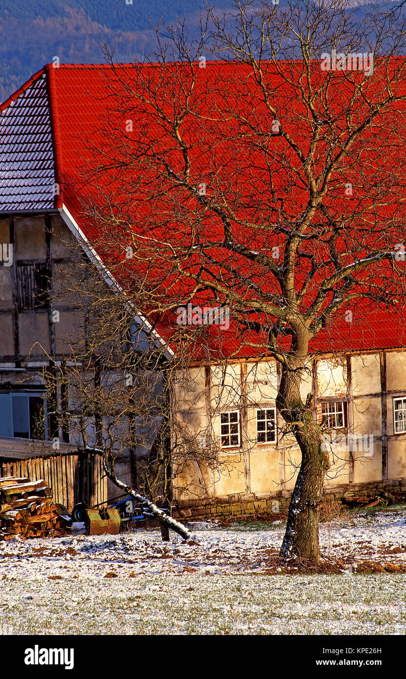 Lippischer hi-res stock photography and images - Alamy