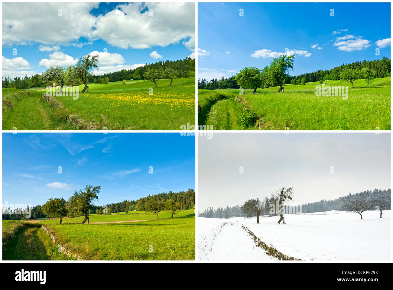 Change seasons tree hi-res stock photography and images - Alamy