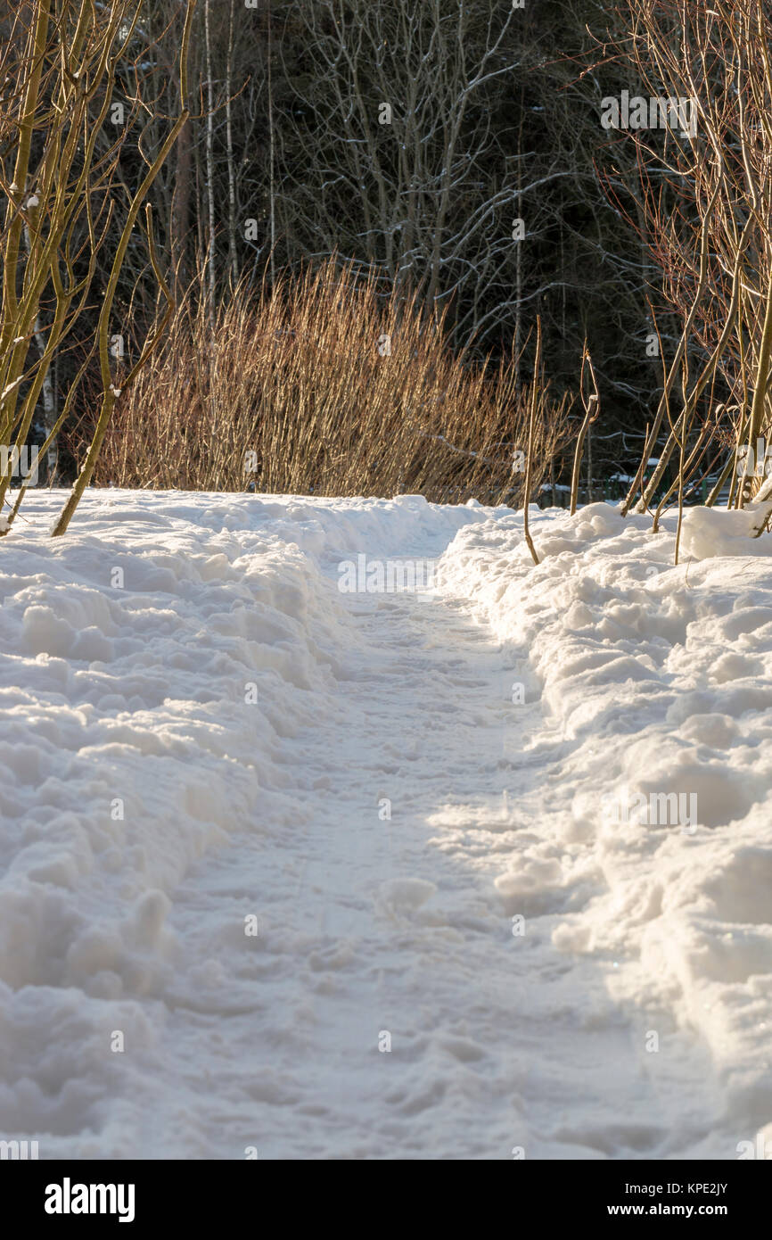 Path in Snow Stock Photo - Alamy