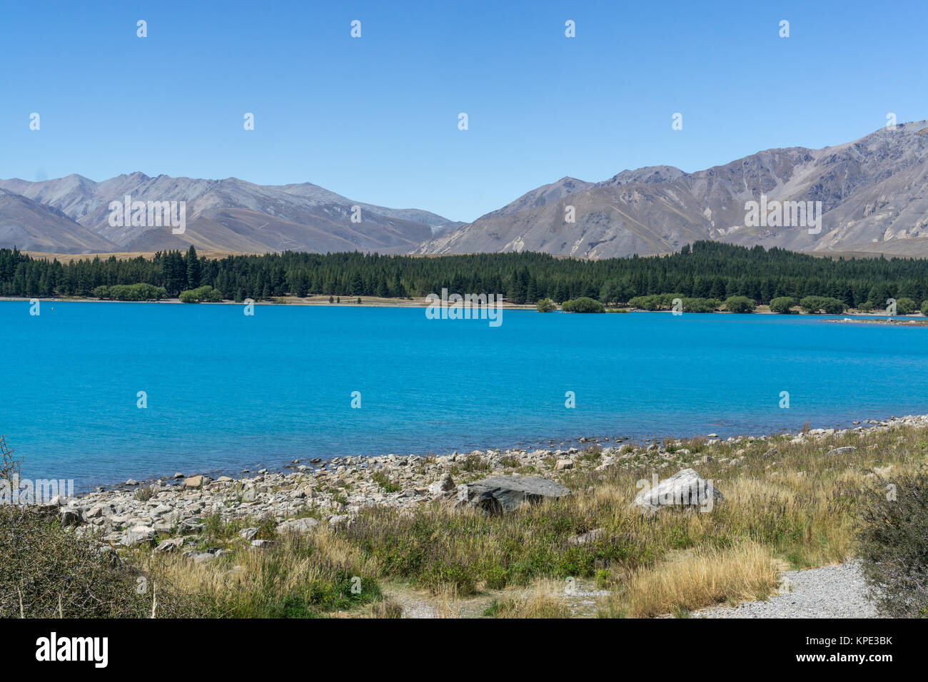 Lake tekapo regional park hi-res stock photography and images - Alamy
