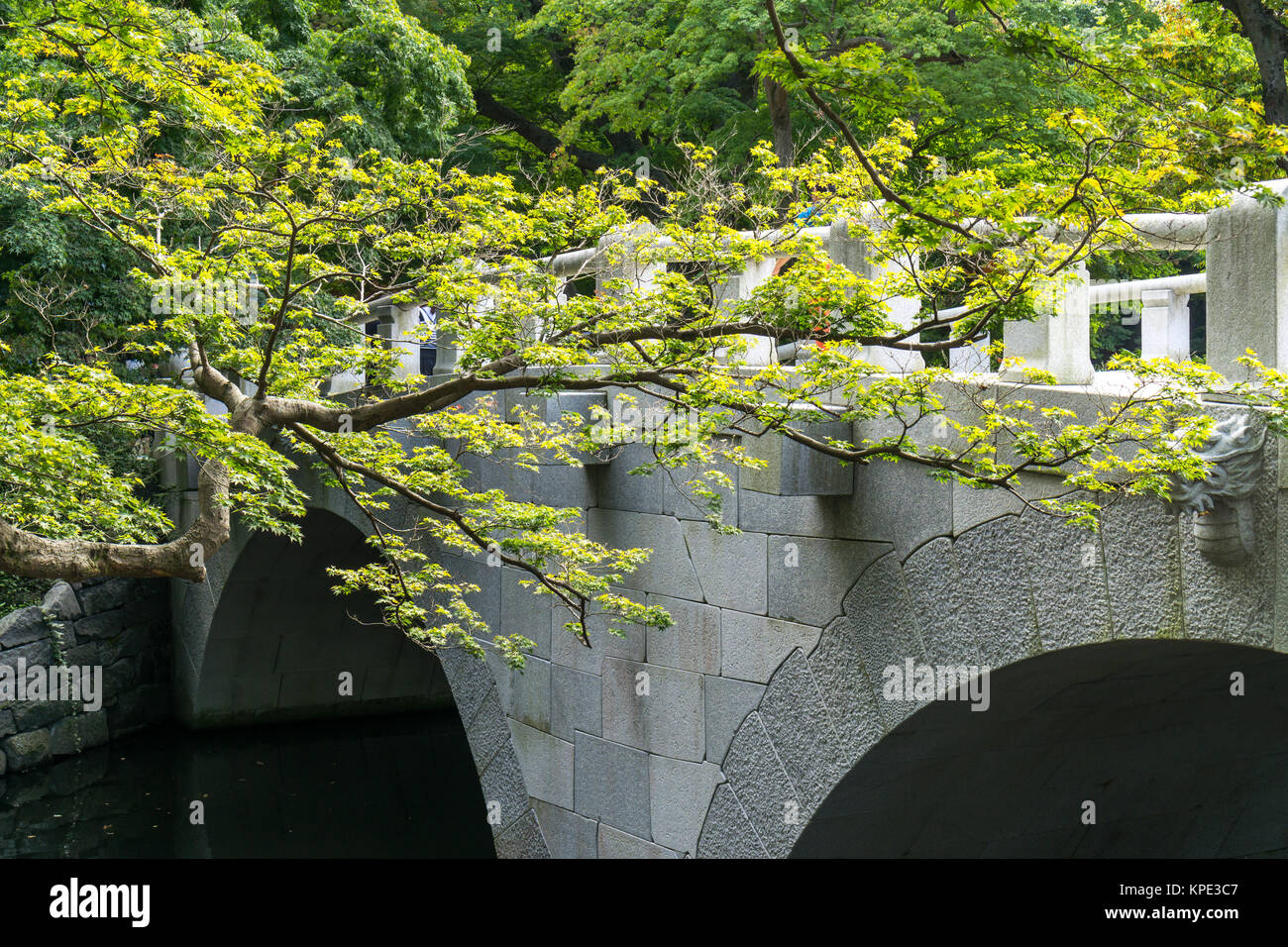 tree branch and temple bridge Stock Photo - Alamy