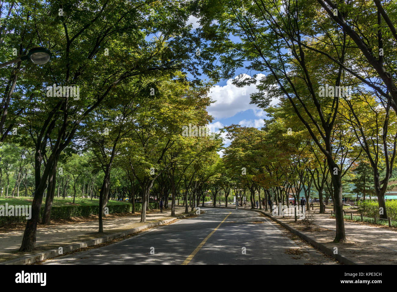 Incheon Grand Park early autumn Stock Photo - Alamy