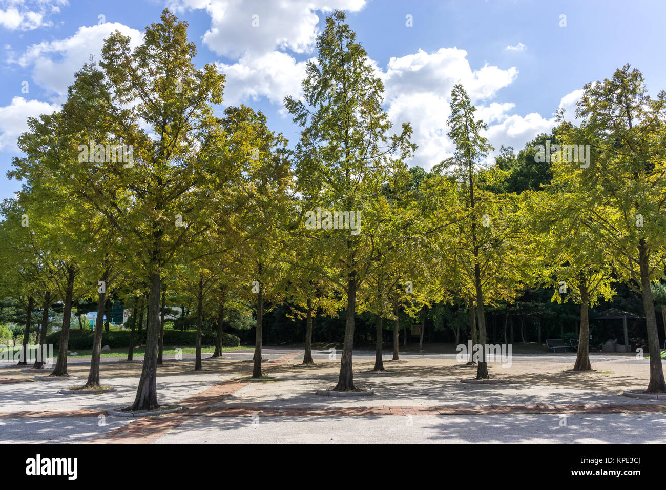 Incheon grand park hi-res stock photography and images - Alamy