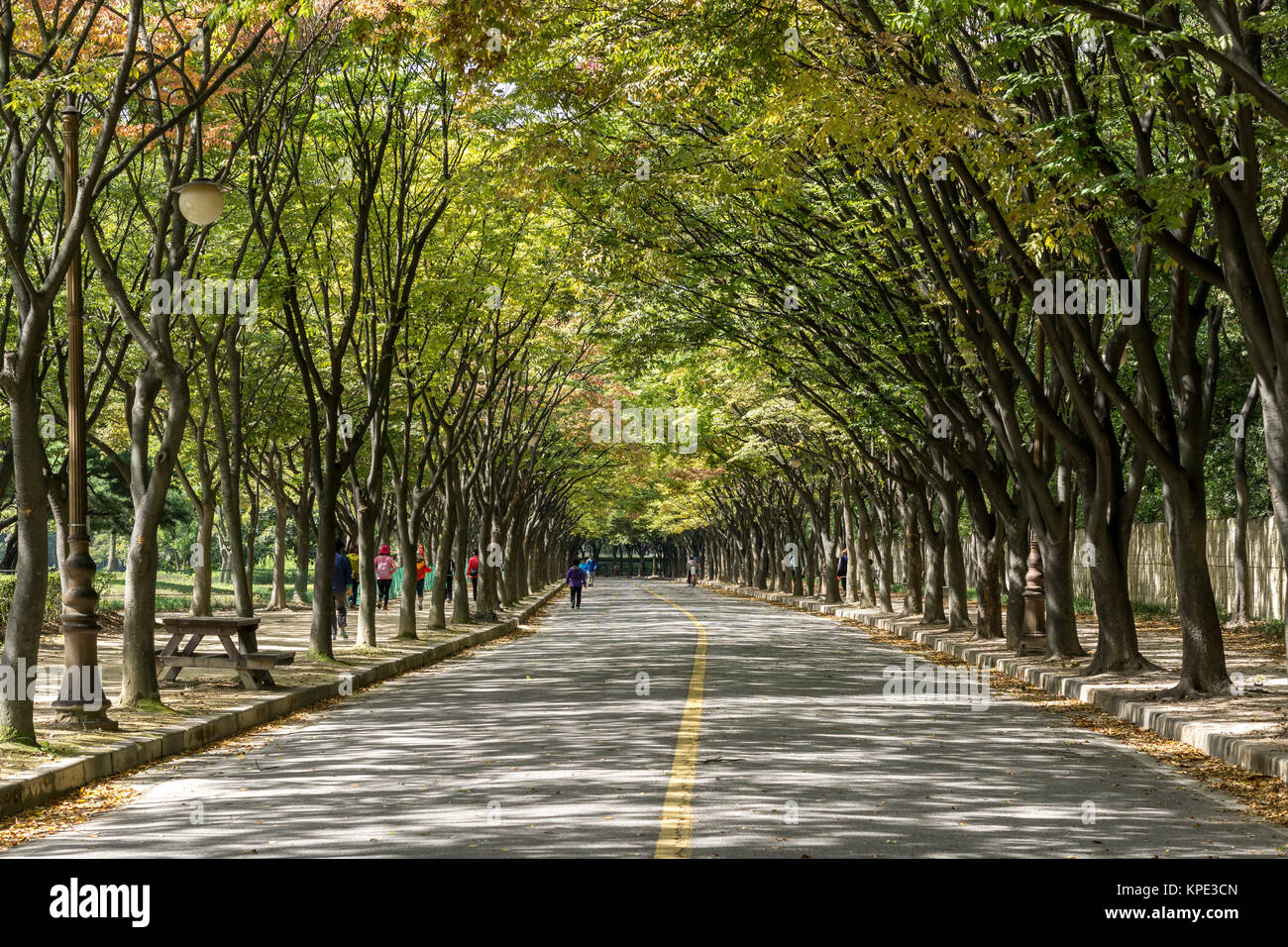 Incheon Grand Park early autumn Stock Photo - Alamy