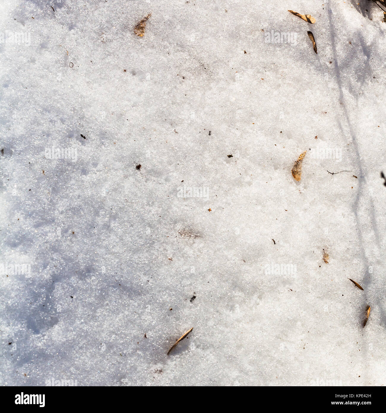 ice crust on snow surface in cold winter day Stock Photo - Alamy