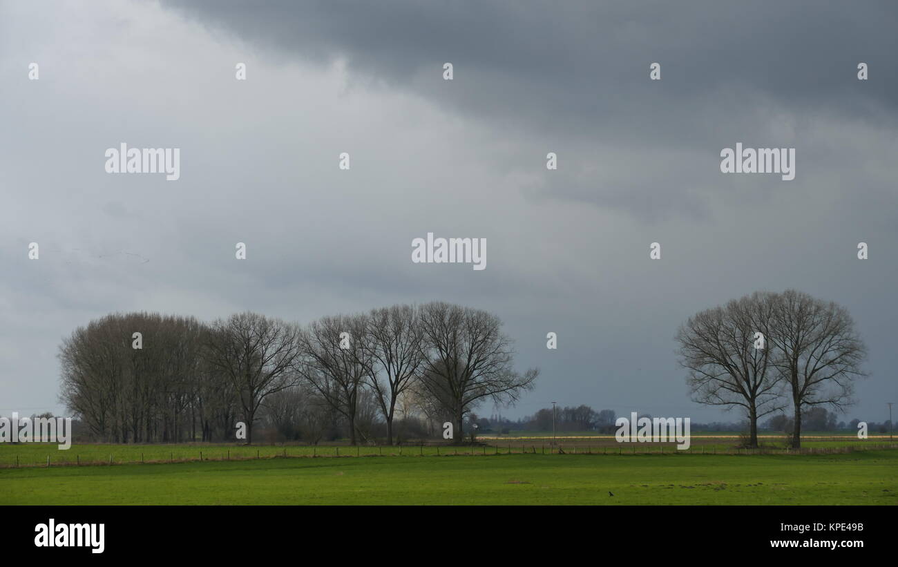 Rhine landscape hi-res stock photography and images - Alamy