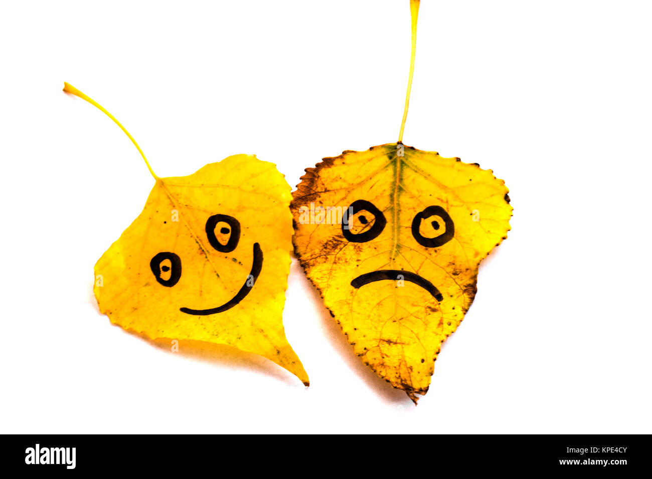 Yellow leaves with a picture of happy and sad faces on isolated on ...