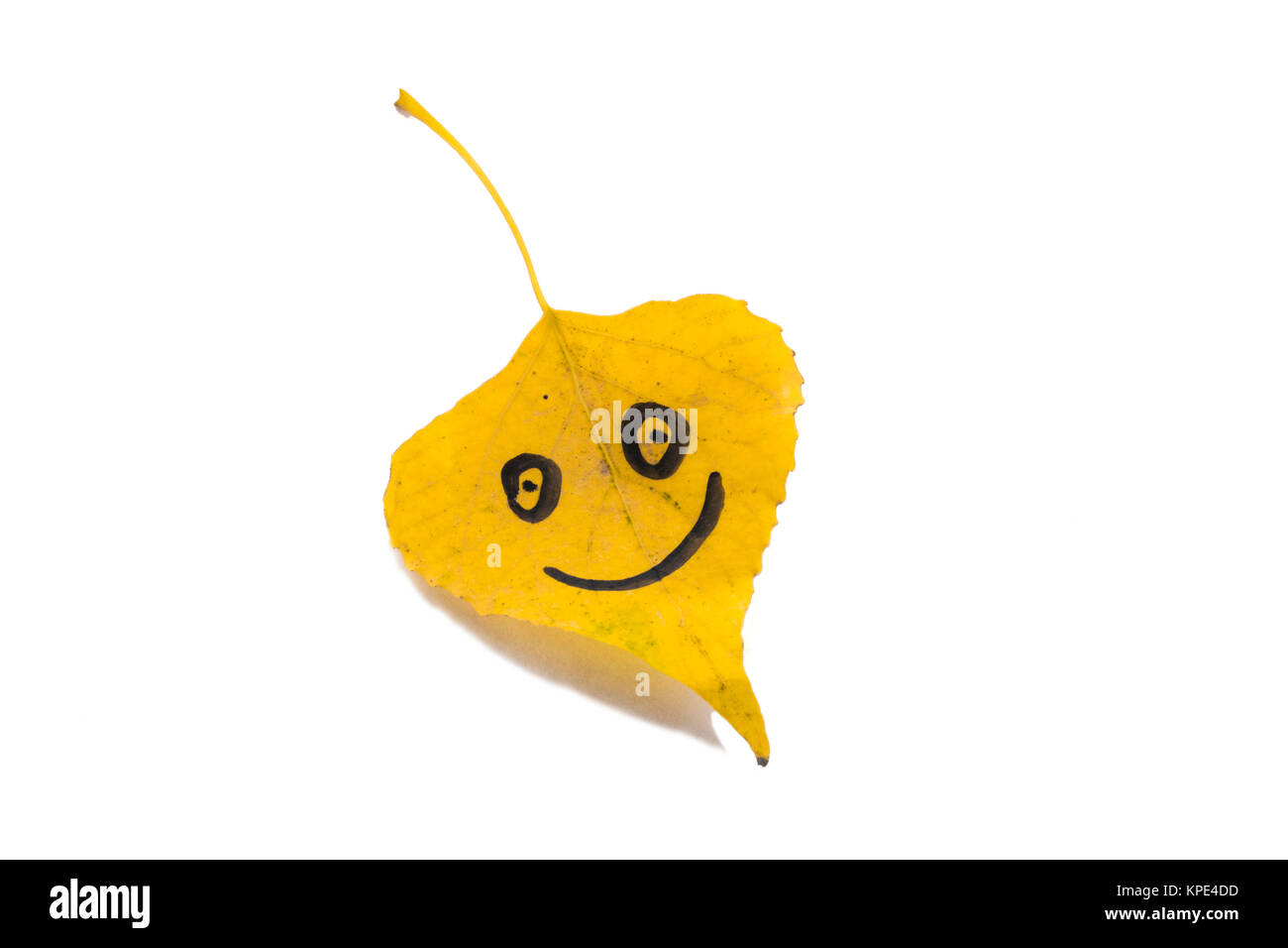 Yellow leaves with a picture of a happy face on an isolated white ...