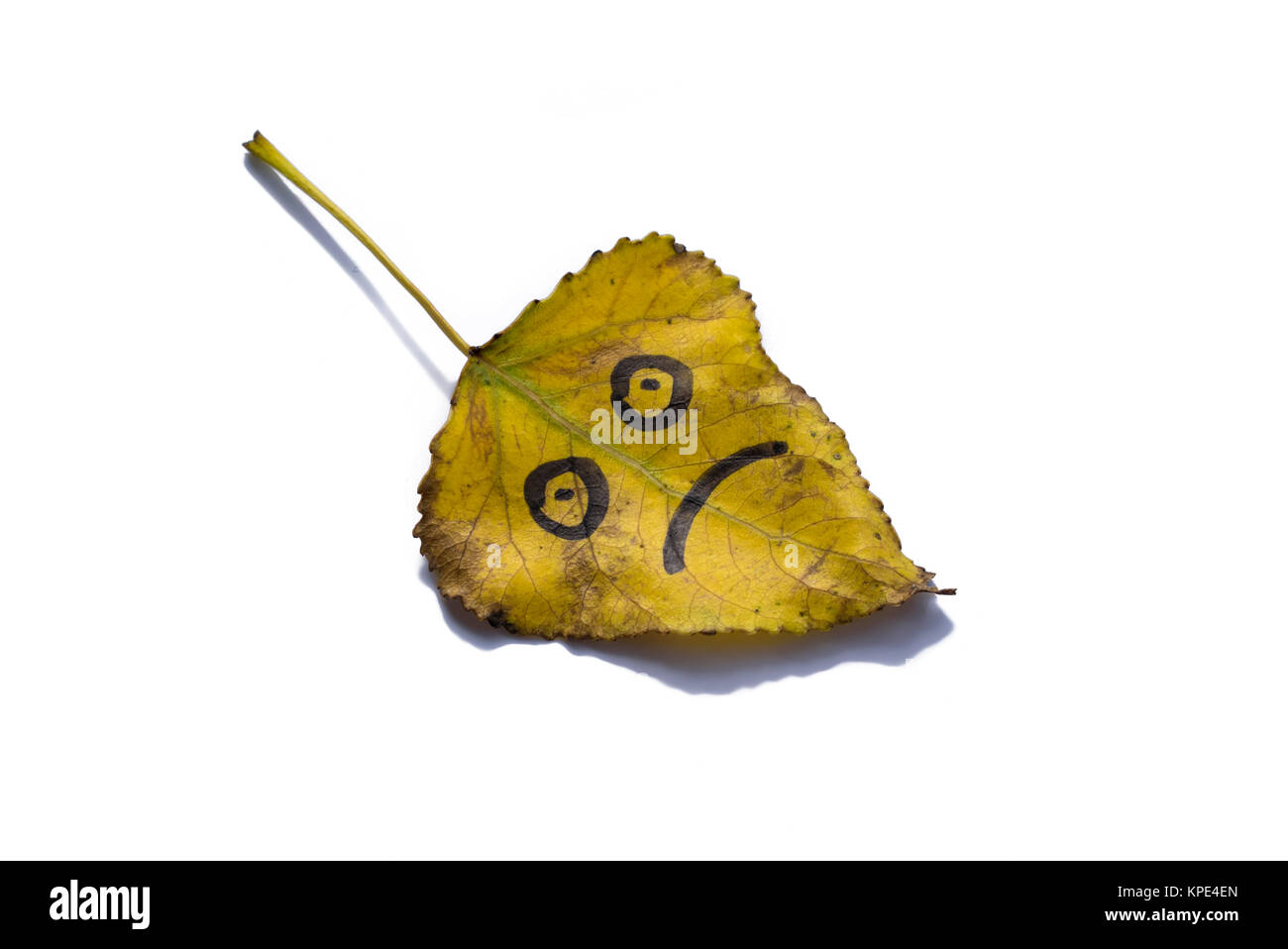 Yellow leaves with a picture of sad faces on an isolated white ...