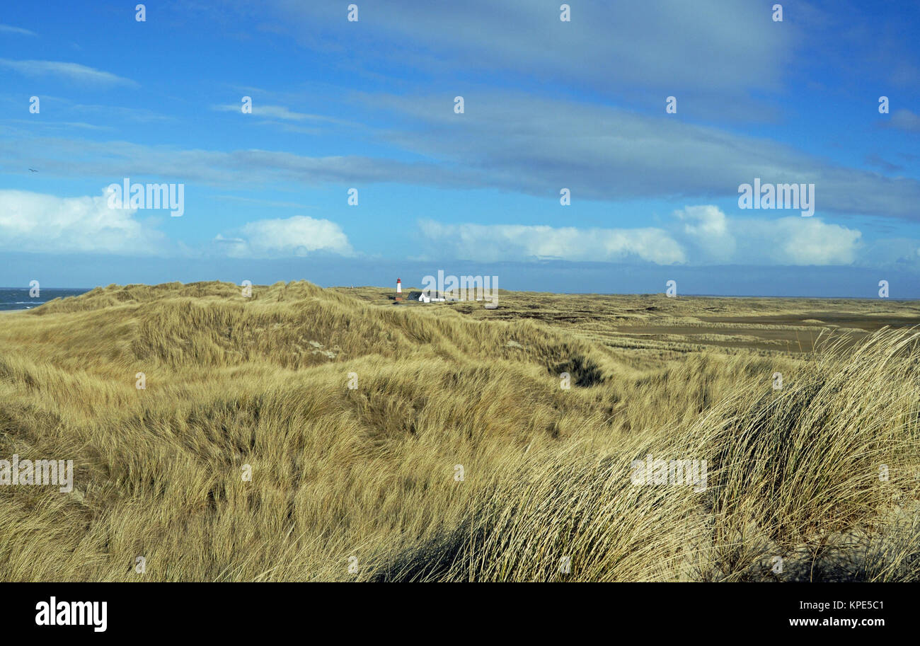 Sylter landscape hi-res stock photography and images - Alamy