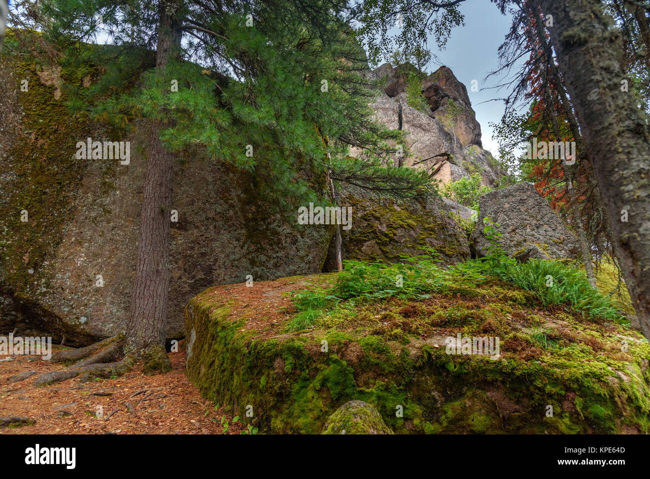 Central pillars of Russian reserve Stolby Nature Sanctuary. Near ...