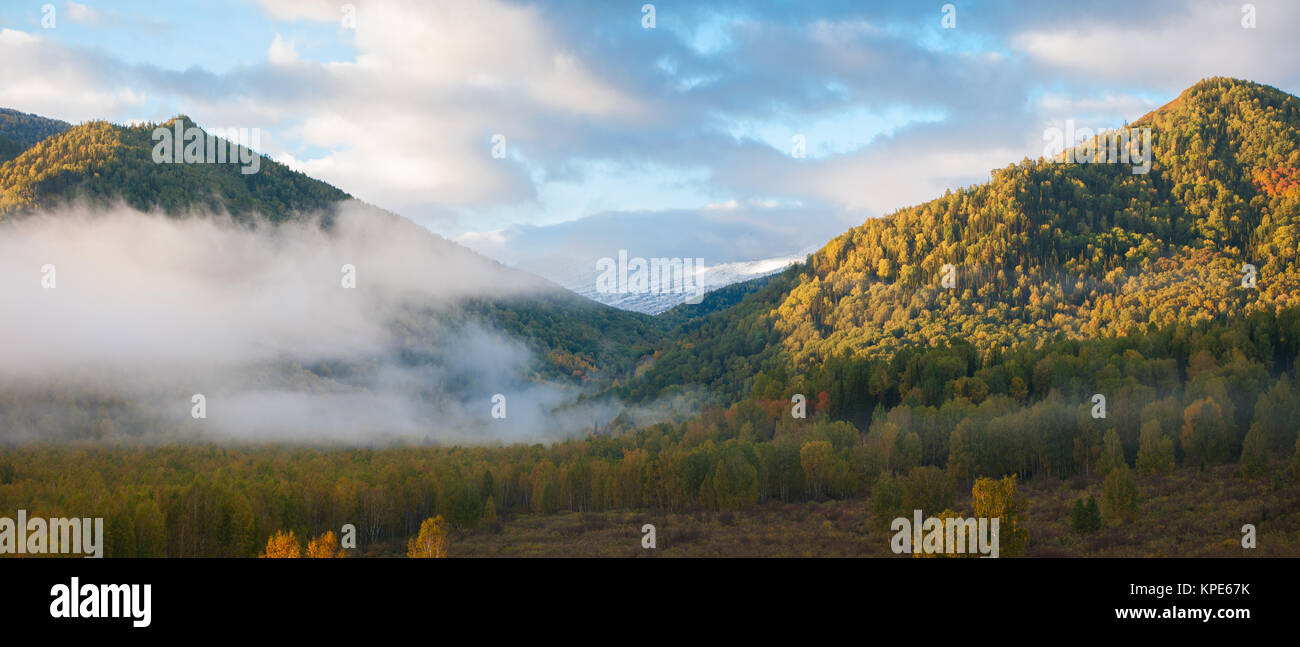 sunrise in taiga Stock Photo - Alamy