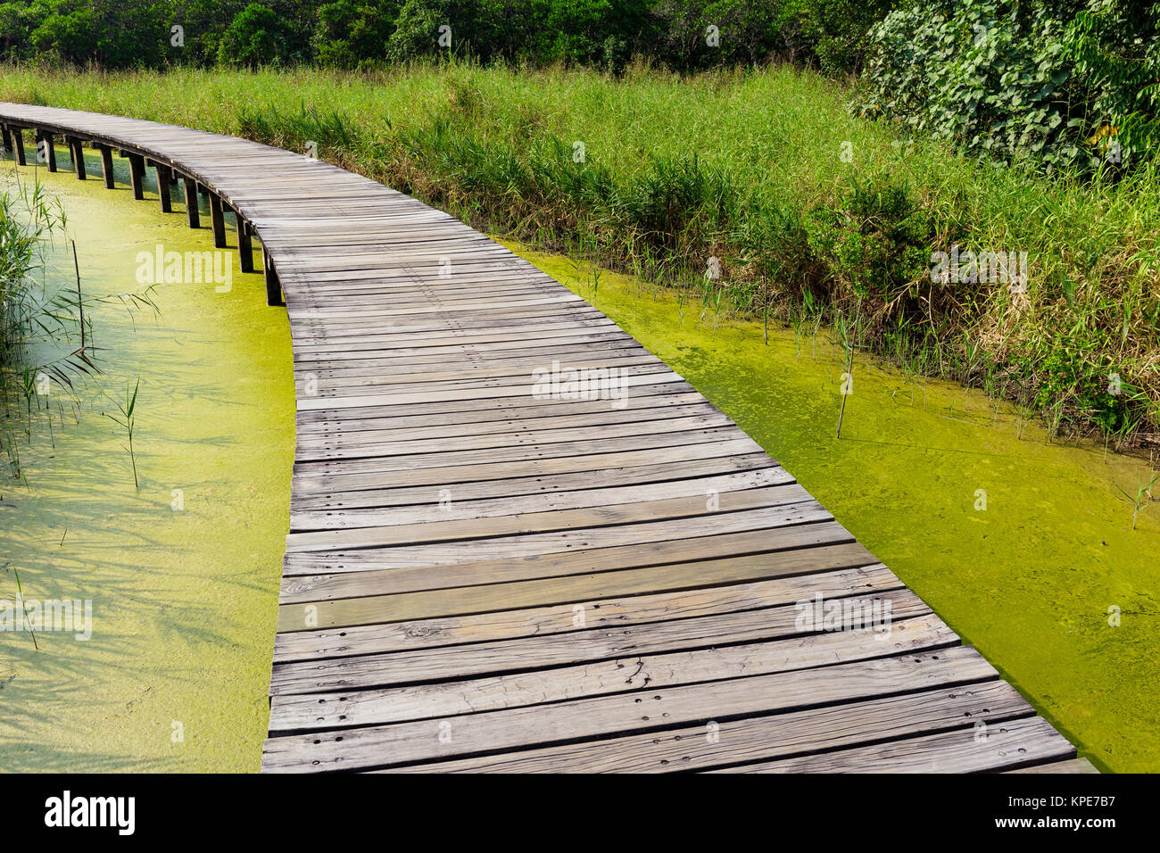 Wooden bridge across the river Stock Photo - Alamy